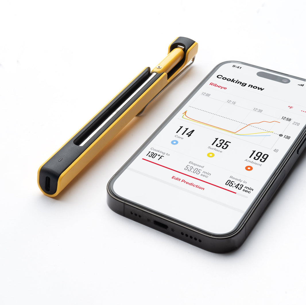 Thermometers – Combustion Inc