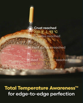 Better cooking starts here – Combustion Inc